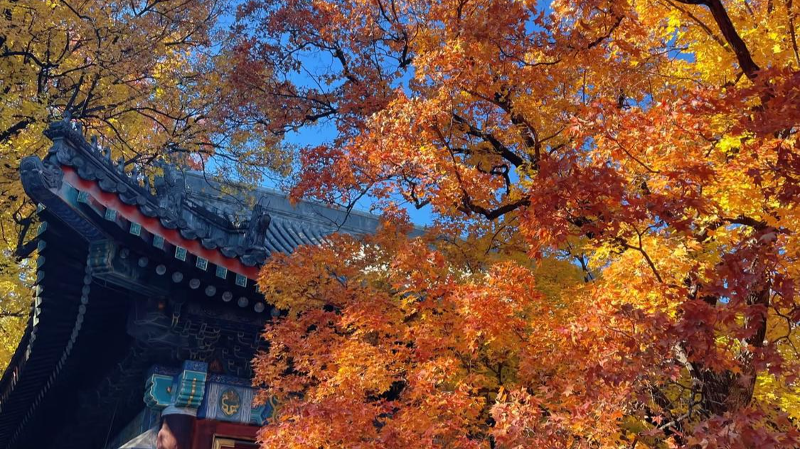 Beijing in Autumn - Beijing