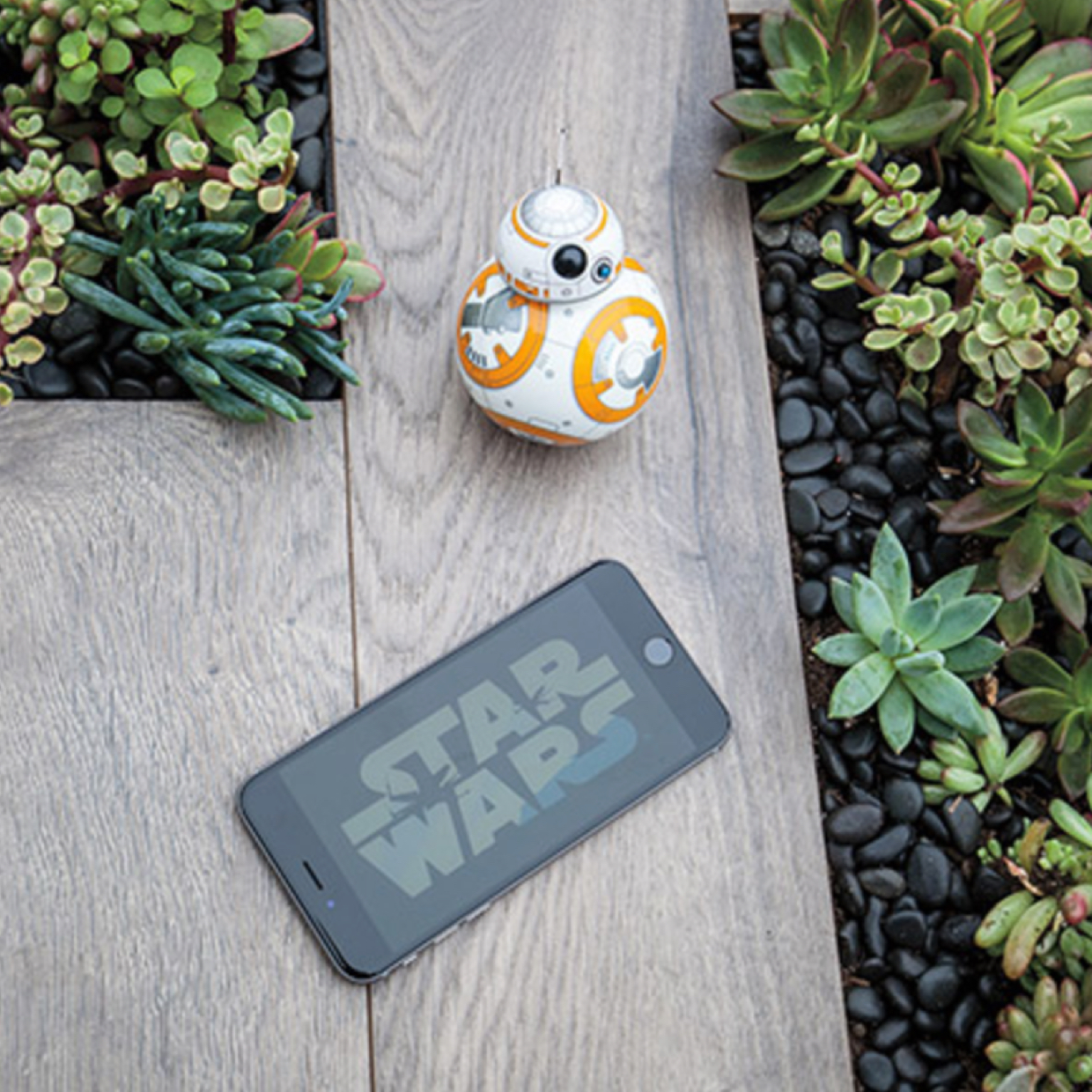 BB-8