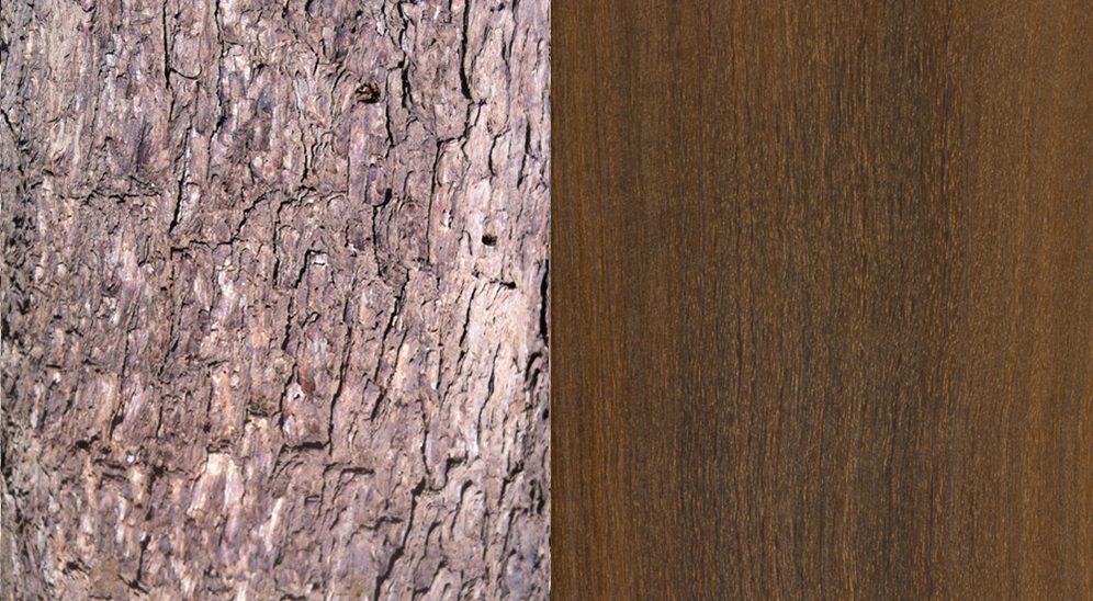 Queensland Timber Market