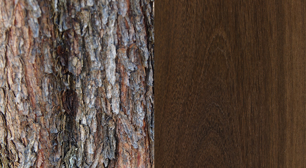 Queensland Timber Market