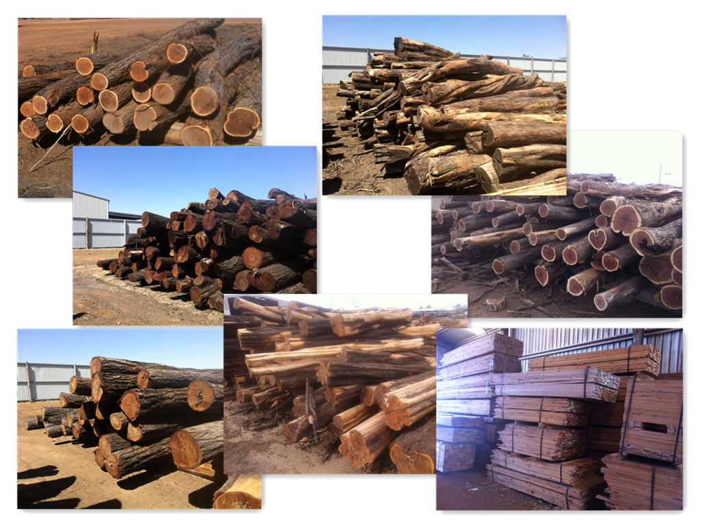 Queensland Timber Market