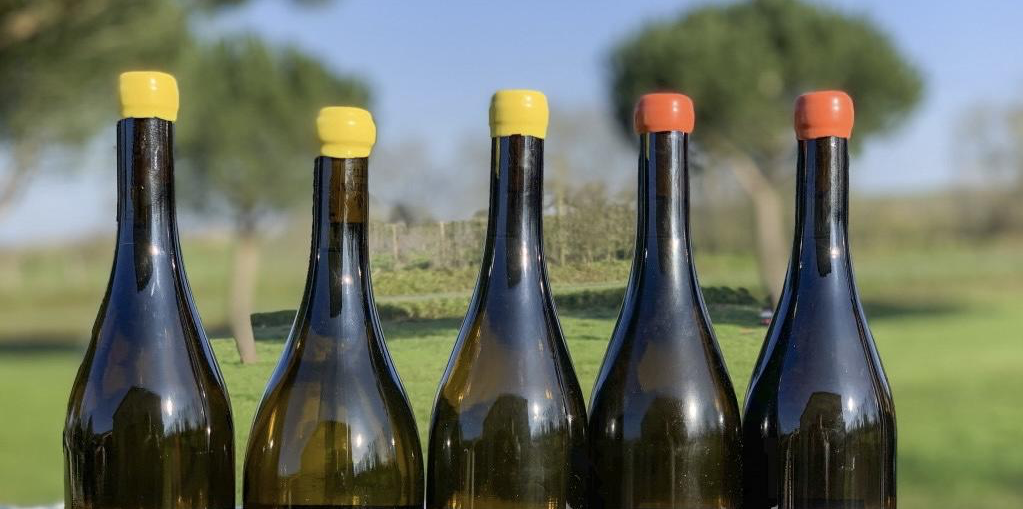 The stories behind wax-sealed wine - Wine Culture