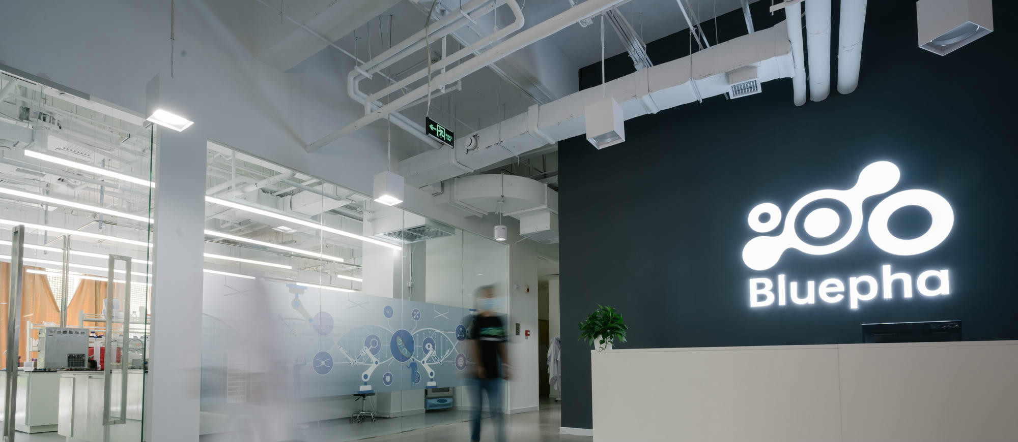 iGEM 专访：Bluepha 是如何在亚洲创业生态系统中蓬勃发展的